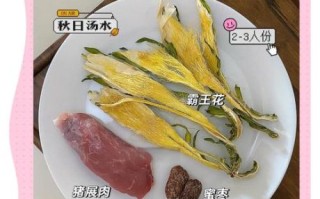 霸王花怎么吃_霸王花煲汤做法