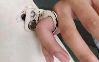 空手指图片是什么_空手指图片怎么去除