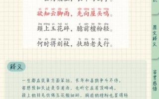 鸽子兮是什么_鸽子兮怎么读