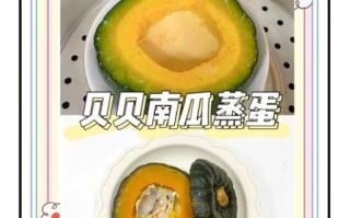贝贝小南瓜怎么做宝宝辅食_几个月能吃贝贝南瓜