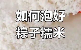 包粽子米泡多久_糯米最佳浸泡时间