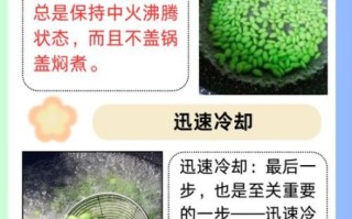 毛豆怎么煮才能发绿不发黄_毛豆煮多久不变色