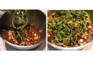 鲜马齿苋怎么吃最好_鲜马齿苋怎么凉拌