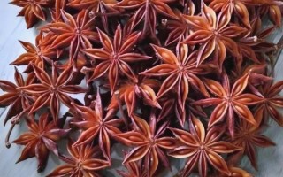 青菜香菇馅怎么调好吃_青菜香菇馅要不要焯水