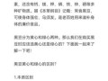 黄豆和黑豆的功效区别_哪种更适合女性