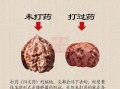 美国山核桃图片_如何辨别真假