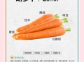 胡萝卜怎么吃减肥_生吃还是熟吃更掉秤