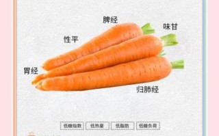 胡萝卜怎么吃减肥_生吃还是熟吃更掉秤