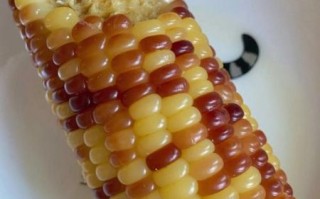 糯玉米图片_糯玉米怎么做好吃