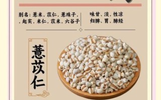 薏米仁的功效与作用及禁忌_薏米仁怎么吃才健康