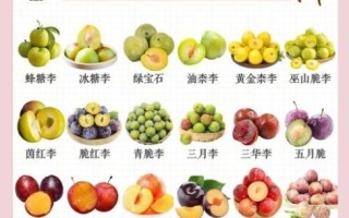 李子能减肥吗_李子吃多了会上火吗