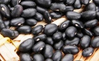 黑豆和黑芸豆是一样的吗_黑豆和黑芸豆区别