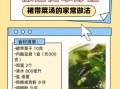 裙带菜汤的做法_裙带菜汤怎么做好喝