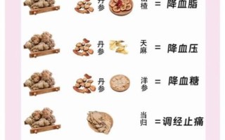 田七适合什么人吃_田七的禁忌人群有哪些