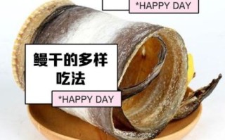 鳗鱼干的营养价值_鳗鱼干的功效与作用
