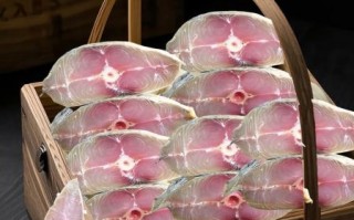 晒干的马鲛鱼怎么做好吃_晒干的马鲛鱼的做法大全