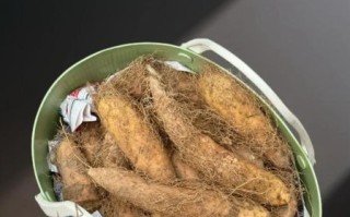 甜薯怎么蒸才甜_甜薯蒸多久才软糯