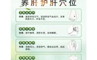 春季如何养肝_黄帝内经春季养生方法