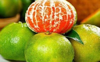 中国桔子产地最多的地方在哪里_如何挑选正宗蜜桔