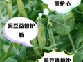 碗豆的功效与作用_碗豆怎么吃最营养
