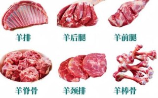羊肉的功效与作用_冬天吃羊肉会上火吗