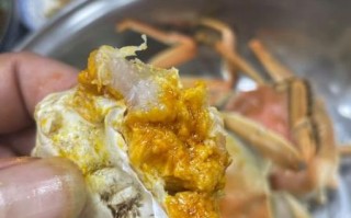 阳澄湖大闸蟹怎么清洗_大闸蟹清洗步骤 阳澄湖大闸蟹怎么清洗_大闸蟹清洗步骤