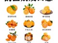 一天吃几个桔子_会上火吗