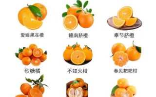 一天吃几个桔子_会上火吗