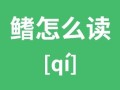鳍怎么读_鳍是什么意思