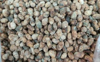 豆豉怎么读_豆豉的正确发音