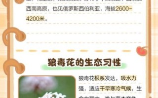 狼毒的功效与作用_狼毒能治什么病