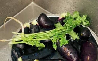 腌制茄子怎么保存_家常做法步骤