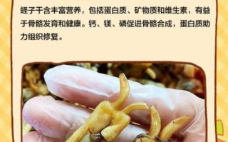 干蛏子肉怎么做好吃又简单_干蛏子肉的家常做法