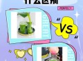 西芹汁和芹菜汁的区别_哪个更好