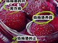 杨梅酒的功效与作用_什么人不能喝杨梅酒