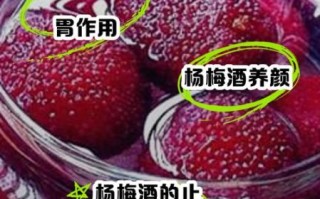 杨梅酒的功效与作用_什么人不能喝杨梅酒