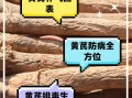 生黄芪的功效与作用_生黄芪适合什么人吃