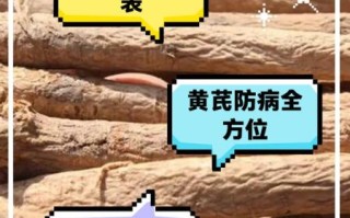 生黄芪的功效与作用_生黄芪适合什么人吃