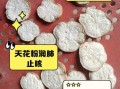 天花粉的功效与作用有哪些_天花粉图片怎么辨别真假