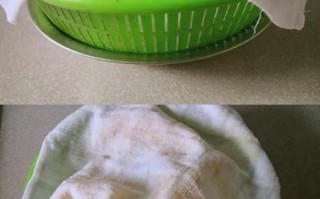 绿色的豆芽是什么豆子_自己在家怎么发豆芽