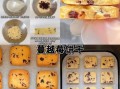 蔓越莓饼干怎么做_蔓越莓饼干做法视频教程