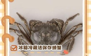 螃蟹怎么保存才不死_活蟹能放冰箱多久