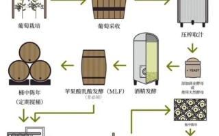 葡萄酒怎么酿造_葡萄酒生产工艺流程详解