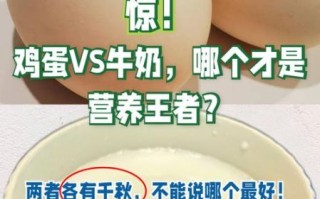 牛奶和鸡蛋能一起吃吗_早餐搭配真相
