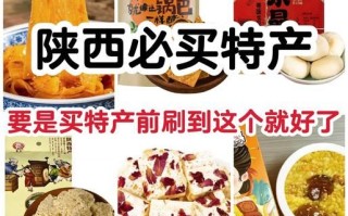陕西特产可携带的零食有哪些_怎么选