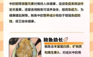 鲍鱼的营养价值_鲍鱼的功效与作用