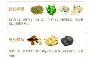 煲汤药材有哪些_怎么搭配不上火