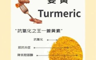 姜黄粉是什么东西_姜黄粉的功效与作用