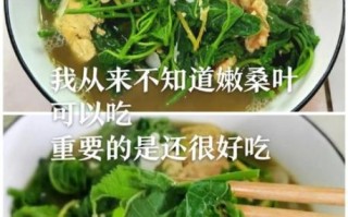 桑叶怎么做好吃_桑叶的做法大全