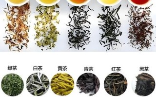 茶叶大全_什么茶适合新手入门